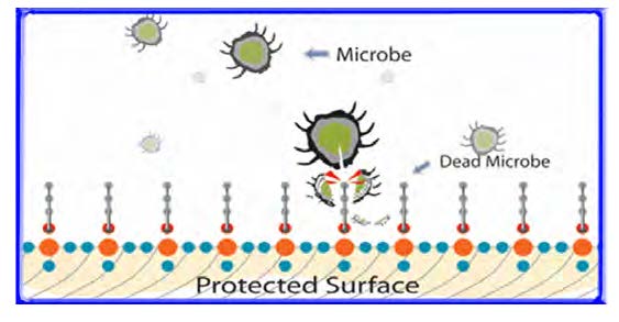 Bioshield 75 Biostatic Surface Protection - 1 Quart – NXKEM USA LLC